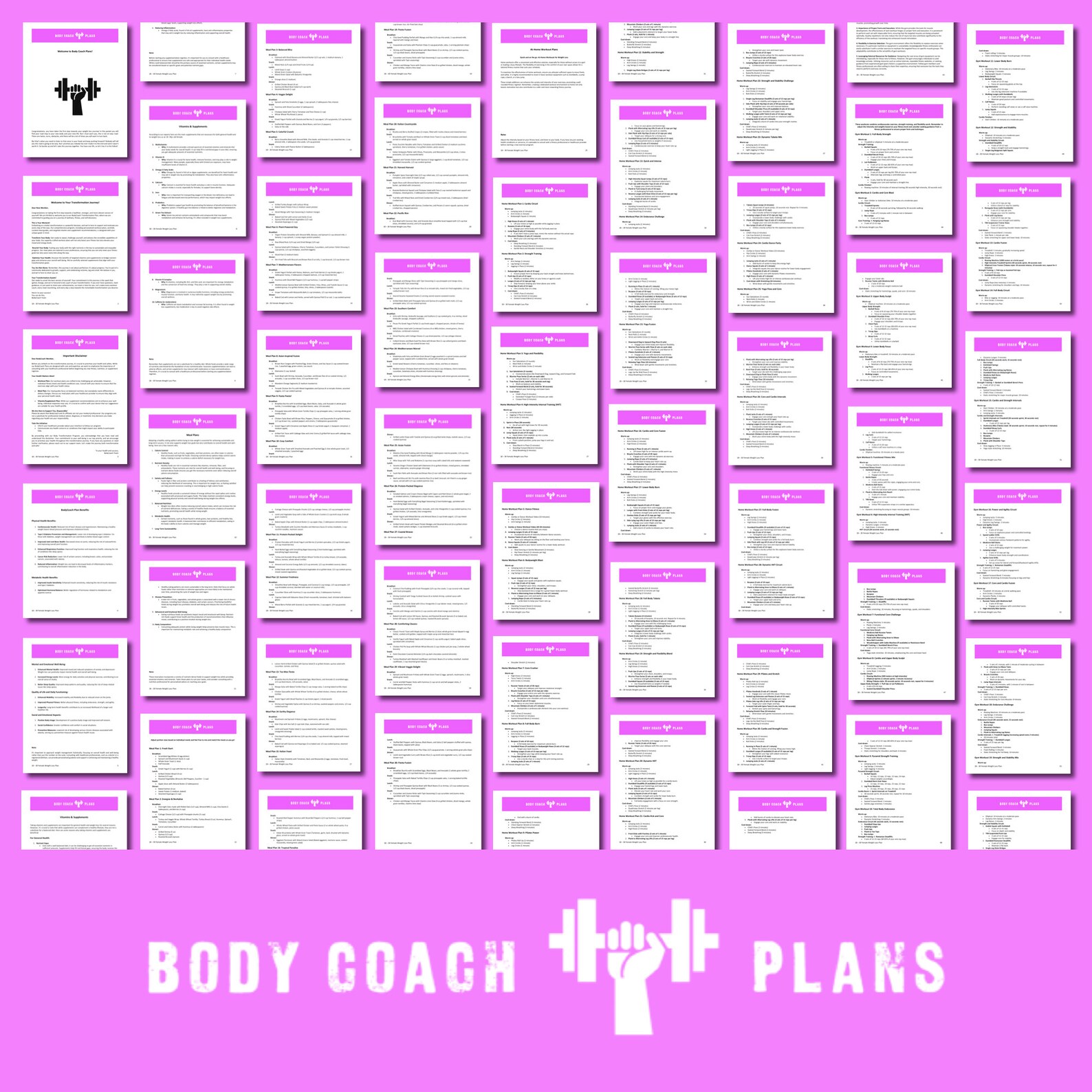 Custom Supplement, Meal Plan, Home Workout, and Gym Workout Plans 18 ...