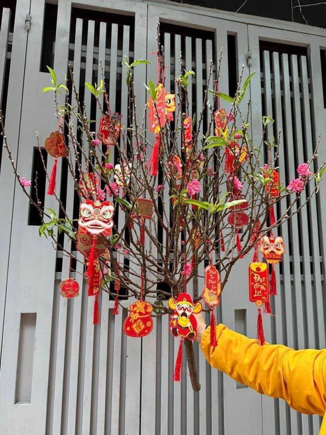 Rabbit Bath Towels and Robes Made of Soft, Smooth Coral Velvet for ...