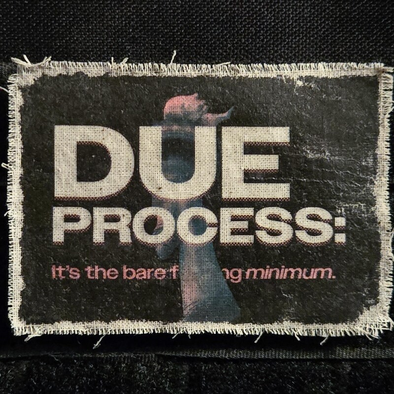 Due Process Protest Signs - Etsy