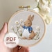 Beatrix Potter’s Peter Rabbit Embroidery Pattern PDF, Woodland Animal ...