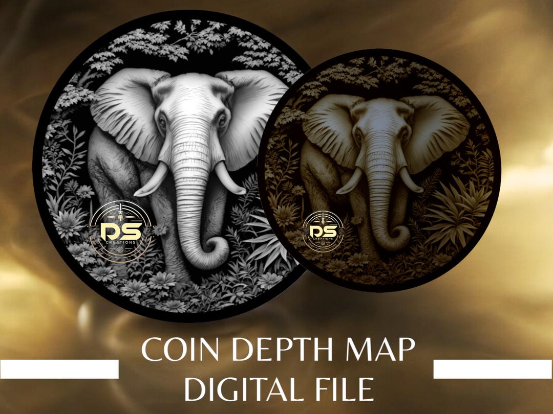 Coin Depth Map | Optimised Resolution PNG File | for Lightburn 3D Slice ...