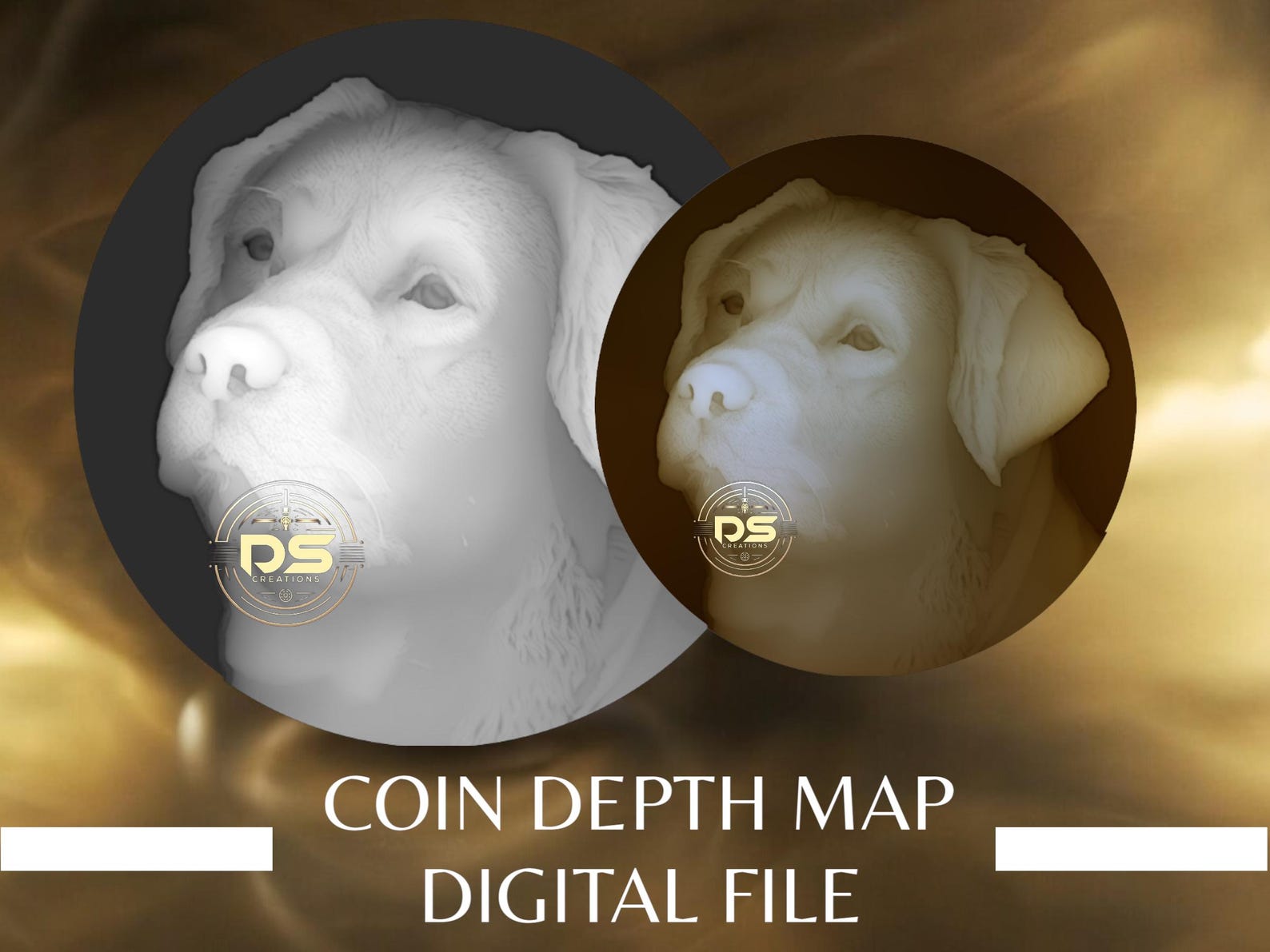 Coin Depth Map | Optimised Resolution PNG File | for Lightburn 3D Slice ...