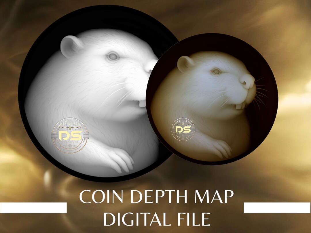 Coin Depth Map | Optimised Resolution PNG File | for Lightburn 3D Slice ...
