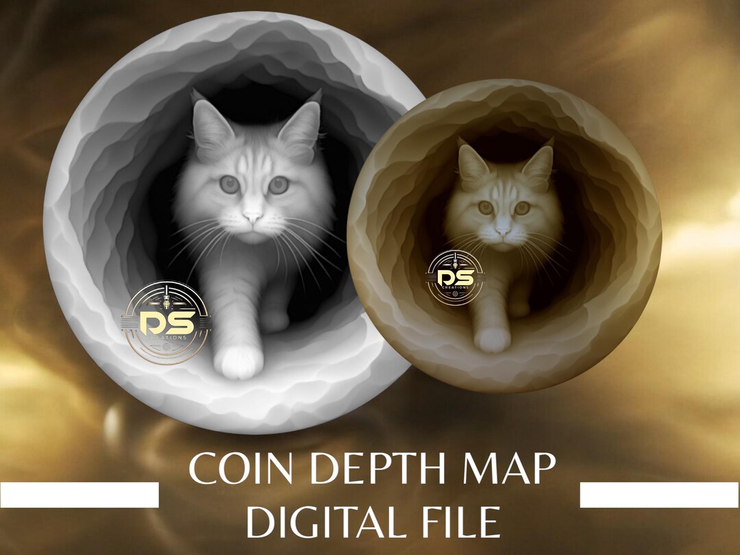 Coin Depth Map | Optimised Resolution PNG File | for Lightburn 3D Slice ...