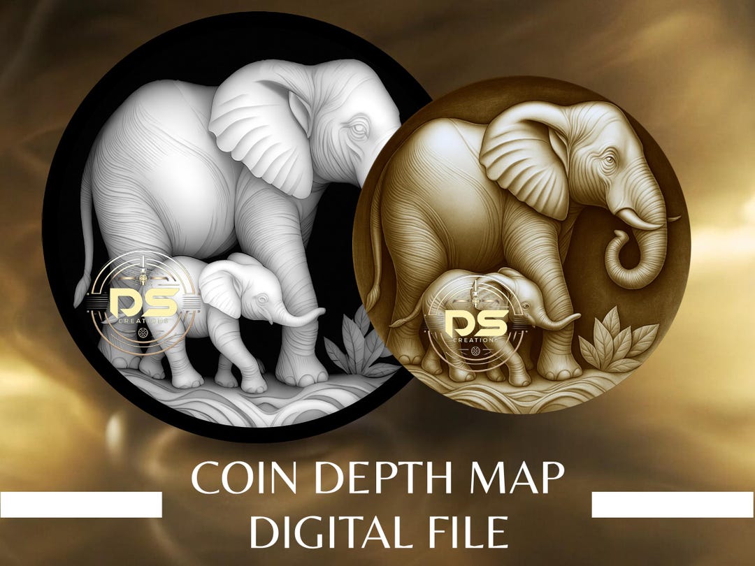 3D Coin Depth Map | Optimised Resolution PNG File | for Lightburn 3D ...