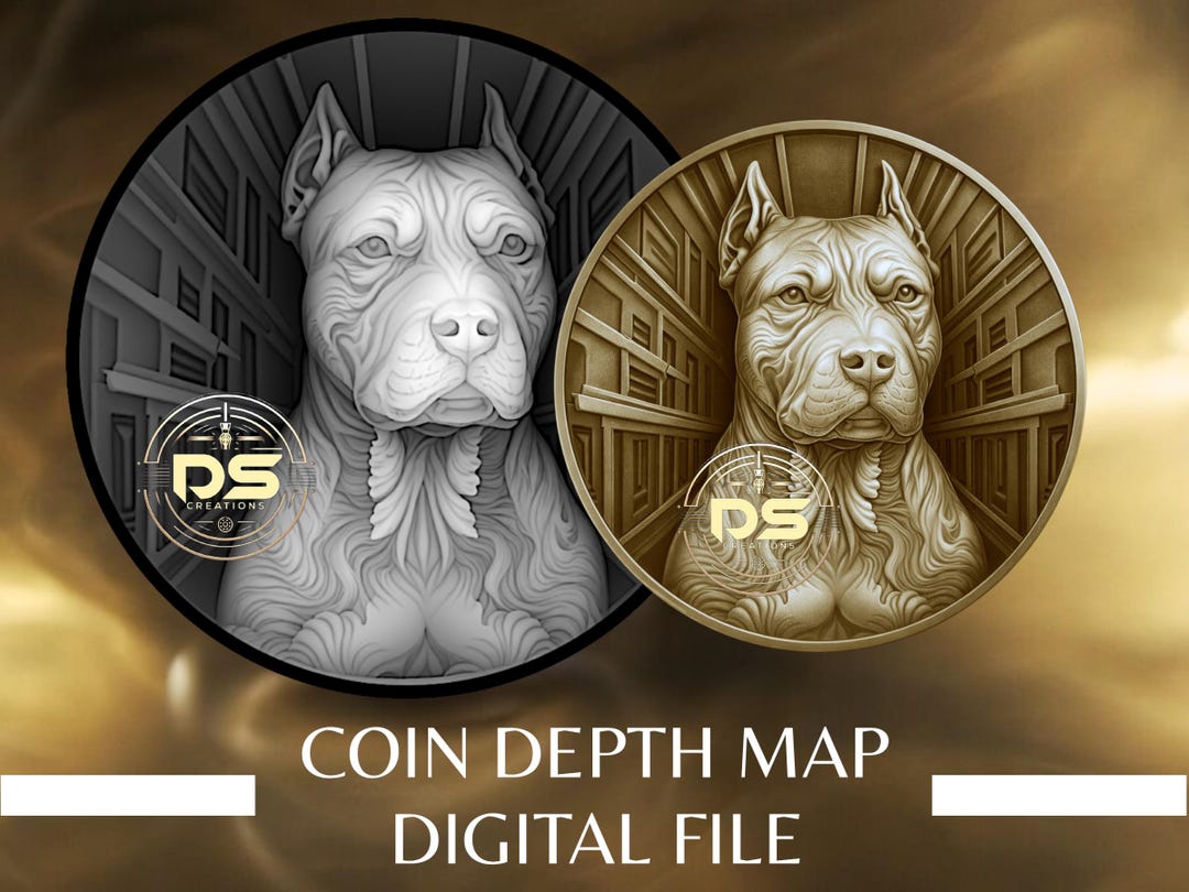 Coin Depth Map | Optimised Resolution PNG File | for Lightburn 3D Slice ...