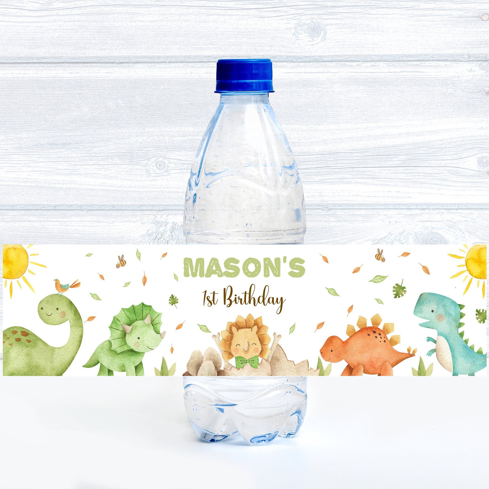 1st Dinosaur Water Bottle Label Template Editable T-rex First Birthday ...