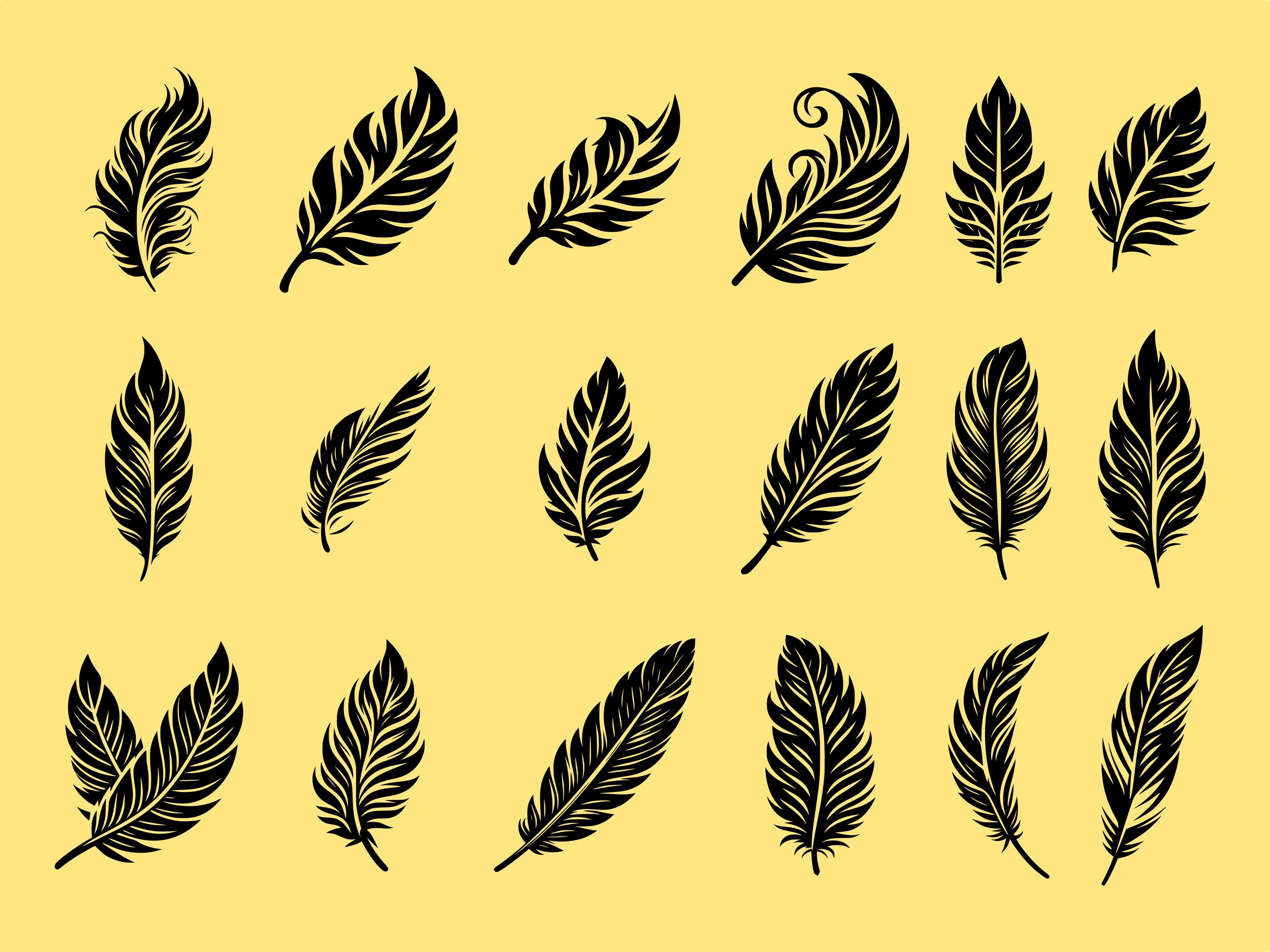 72 Feather Vector SVG PDF PNG Clipart Bundle | Feather Silhouette ...