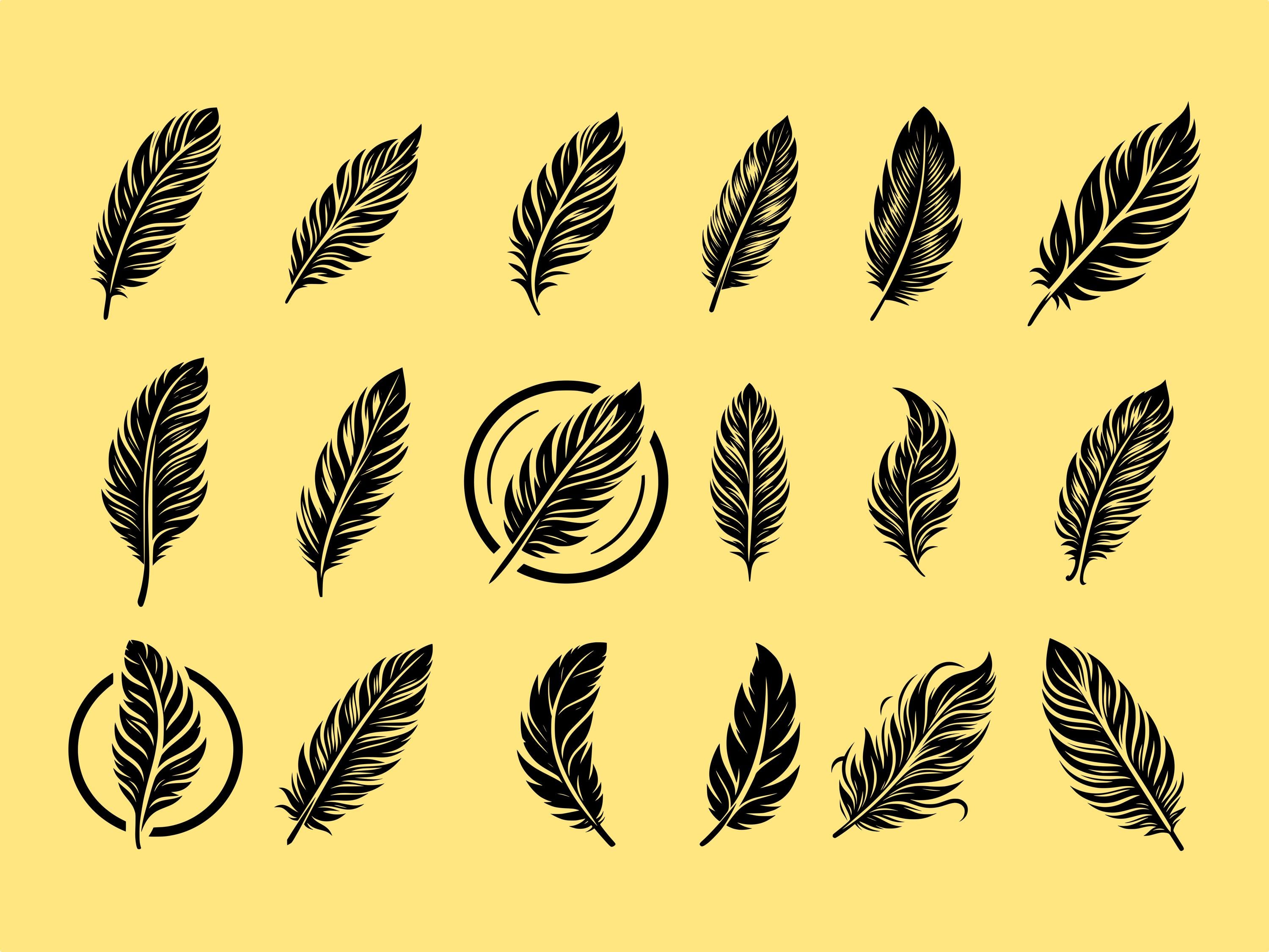 72 Feather Vector SVG PDF PNG Clipart Bundle | Feather Silhouette ...