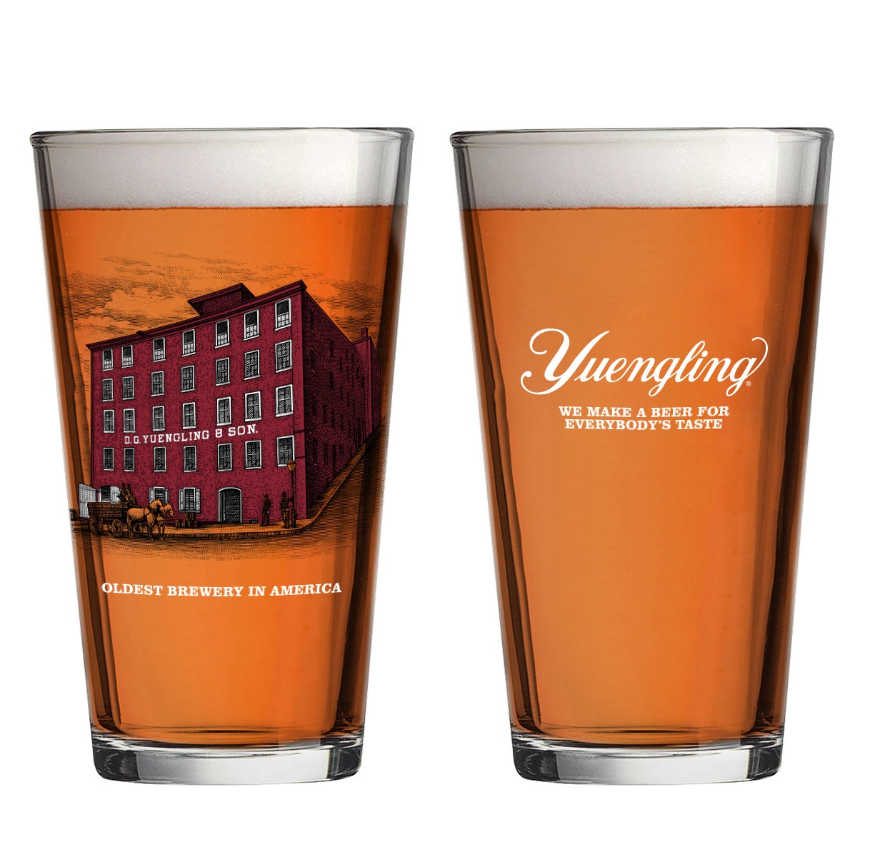 Yuengling Traditional Lagerbeer Vintage Dog 16OZ GLASS Set of 4 - Etsy