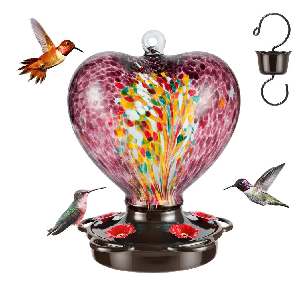 Hand Blown Glass Hummingbird Feeder: Heart-shaped, Leak-proof ...