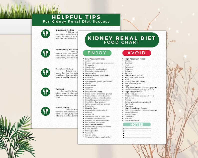 Kidney Renal Diet Food Chart, Kidney-friendly Diet, Renal Diet Food ...