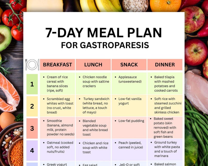 Gastroparesis Meal Plan PDF, Gastroparesis-friendly Foods ...