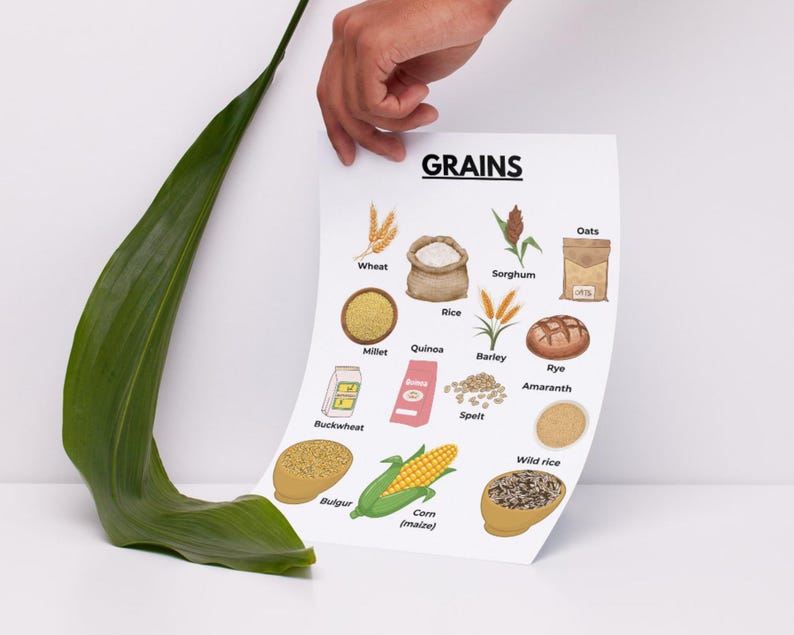 5 Food Groups Poster, Nutrition Facts Poster, Montessori Poster, Food ...