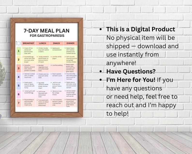 Gastroparesis Meal Plan PDF, Gastroparesis-friendly Foods ...