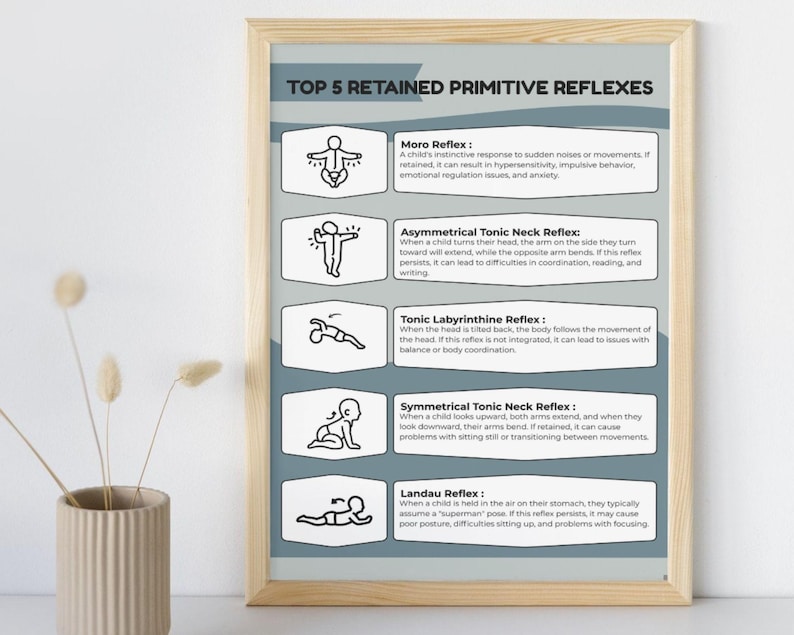 Retained Primitive Reflexes Guide: Integration Handouts, Primitive ...