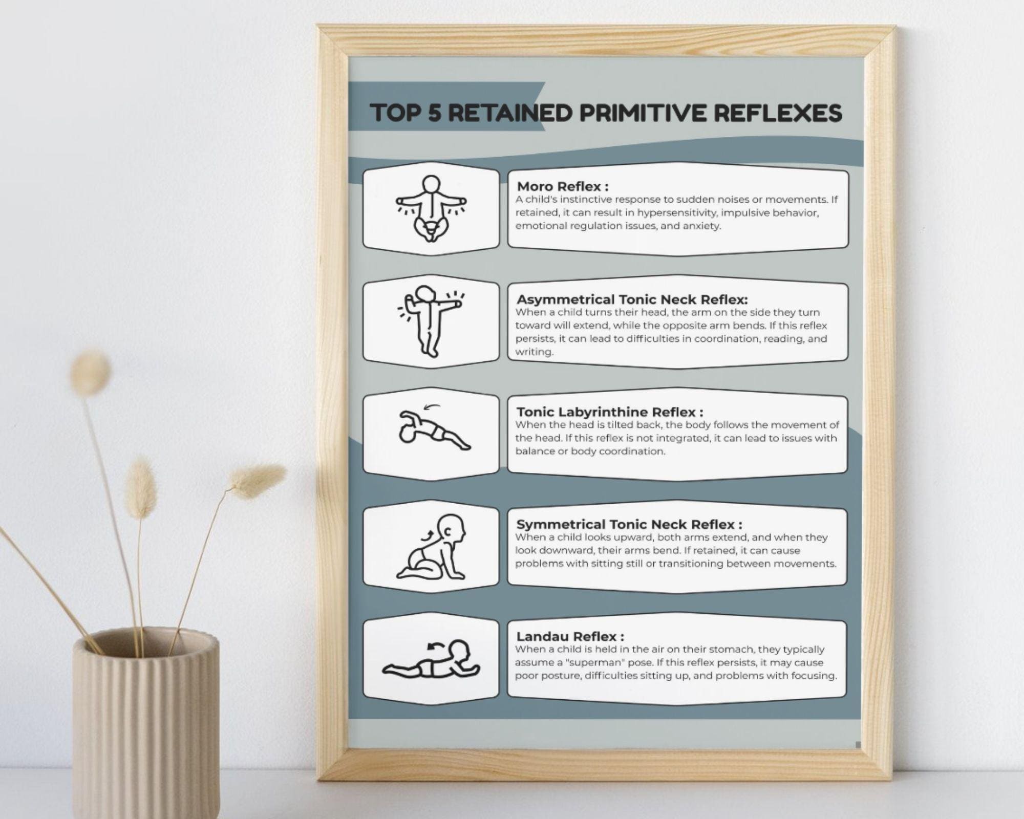 Retained Primitive Reflexes Guide: Integration Handouts, Primitive ...