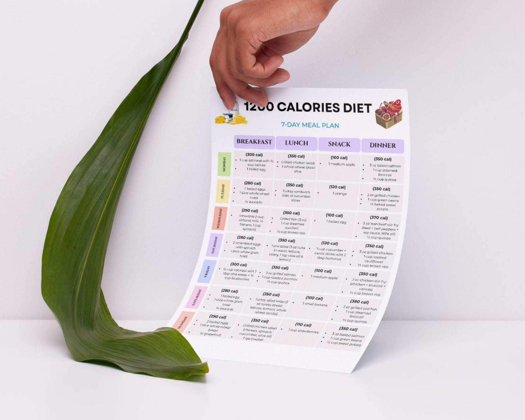 1200 Calories Diet Meal Plan, 7-day Low Calorie Recipes Meal Plan, 7 ...