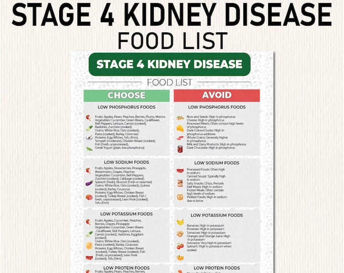 Kidney Renal Diet Food Chart, Kidney Awareness, Kidney Diet List, Low ...