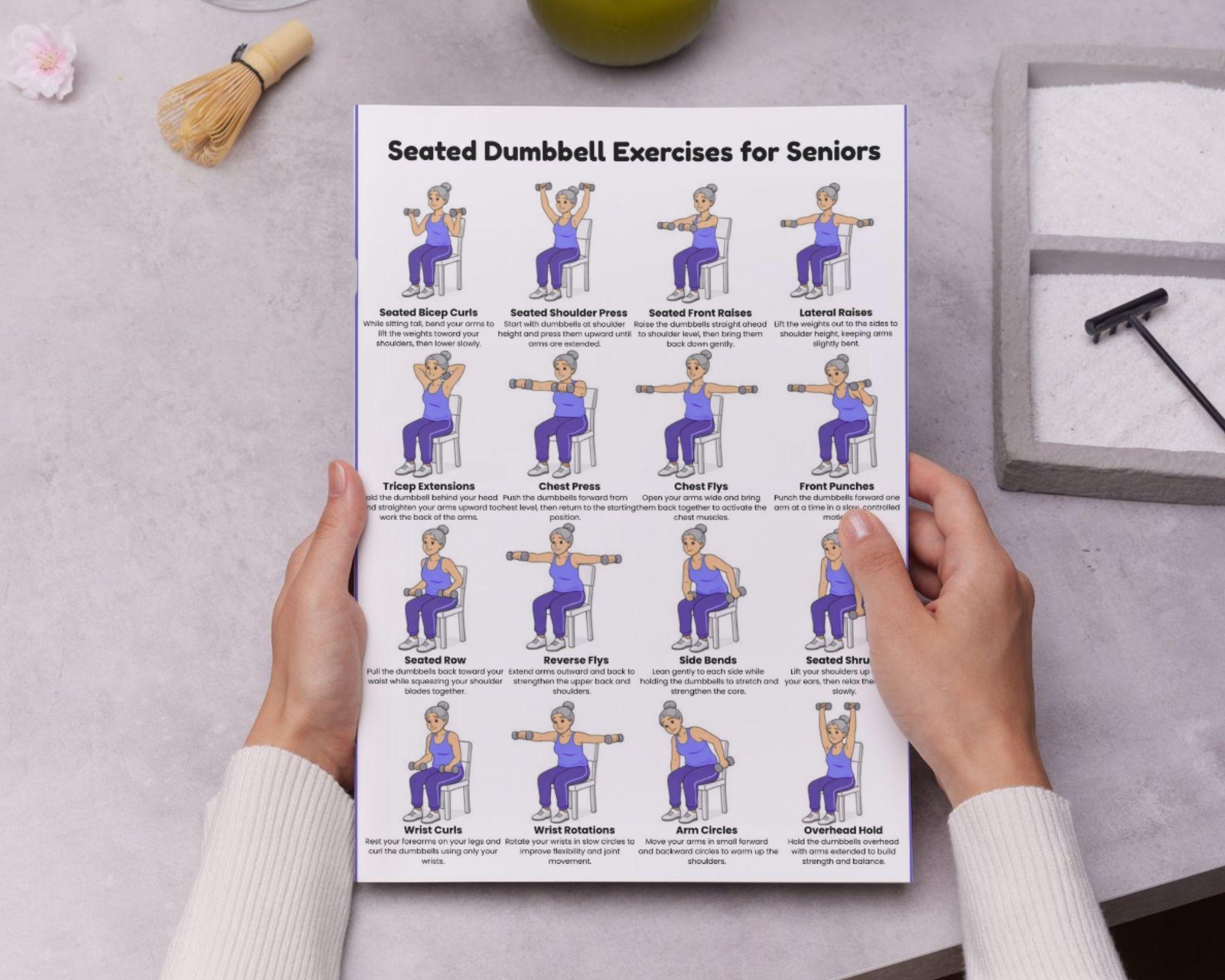Seated Dumbbell Exercises for Seniors, Low Impact Dumbbell Routine PDF ...