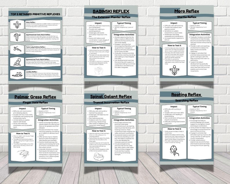 Retained Primitive Reflexes Guide: Integration Handouts, Primitive ...