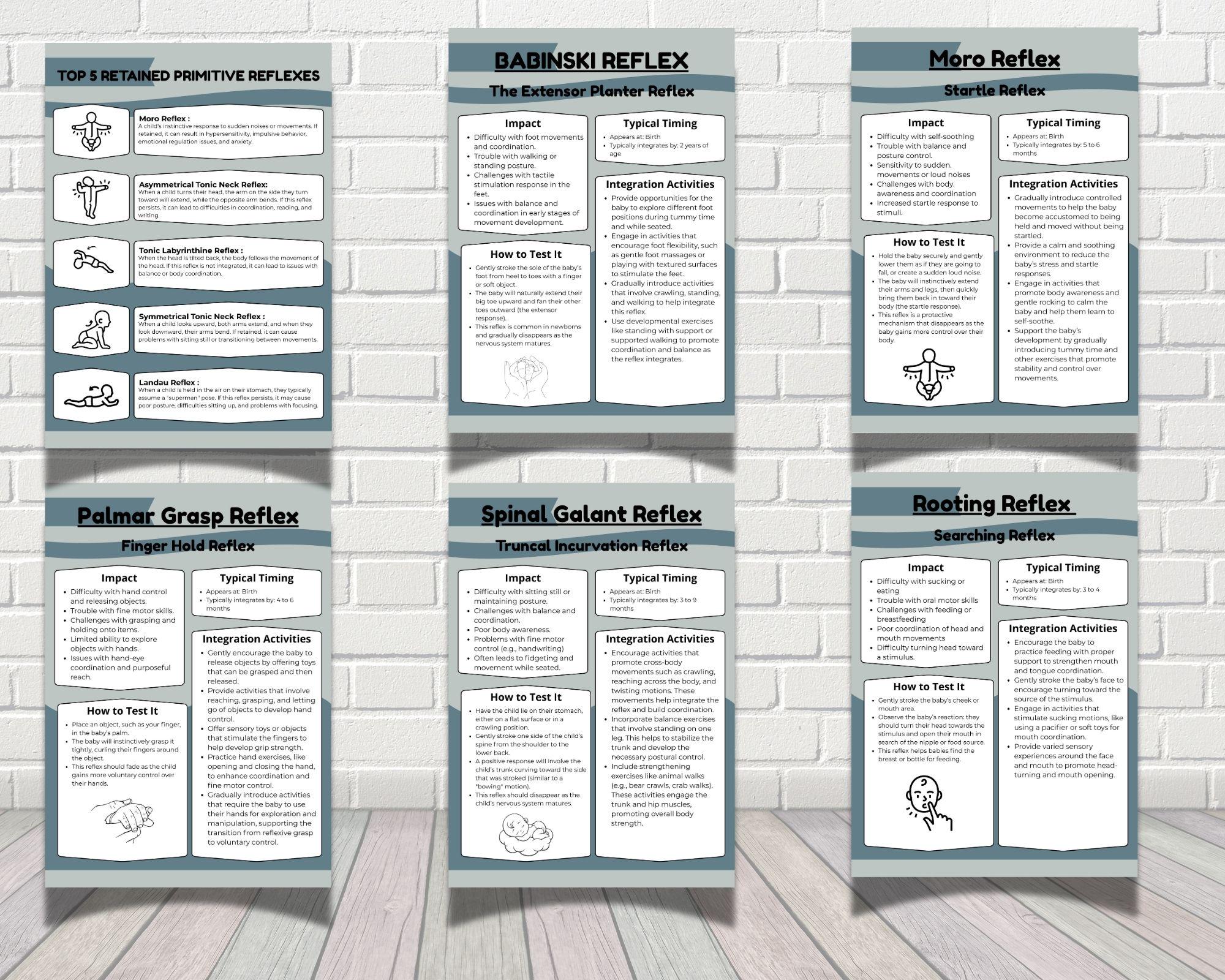 Retained Primitive Reflexes Guide: Integration Handouts, Primitive ...