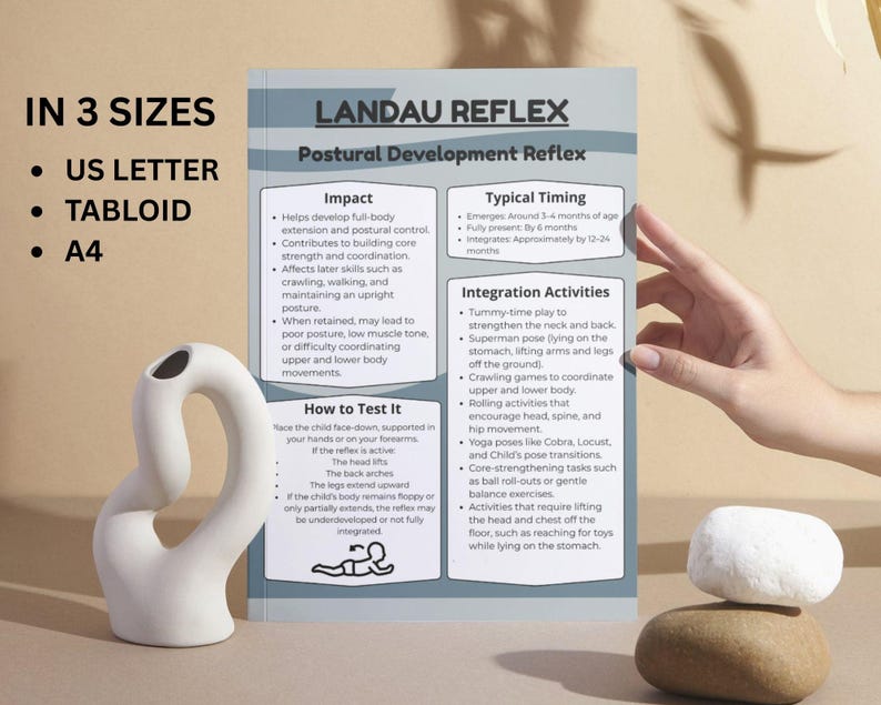 Retained Primitive Reflexes Guide: Integration Handouts, Primitive ...