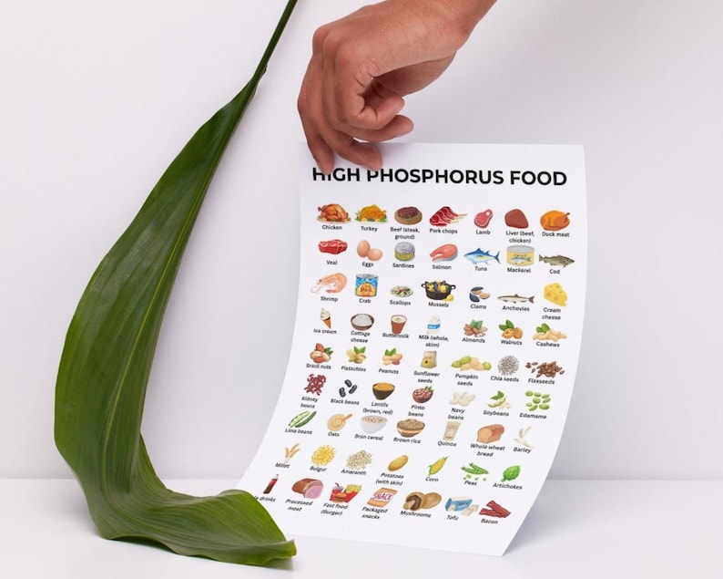 Foods High in Phosphorus Poster, High Phosphorus Foods to Avoid, Lower ...