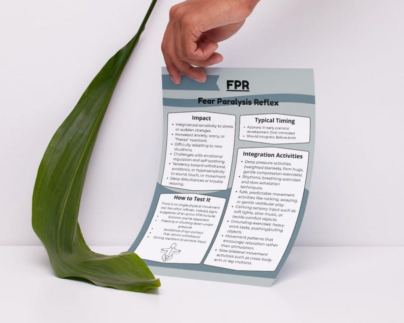 Retained Primitive Reflexes Guide: Integration Handouts, Primitive ...