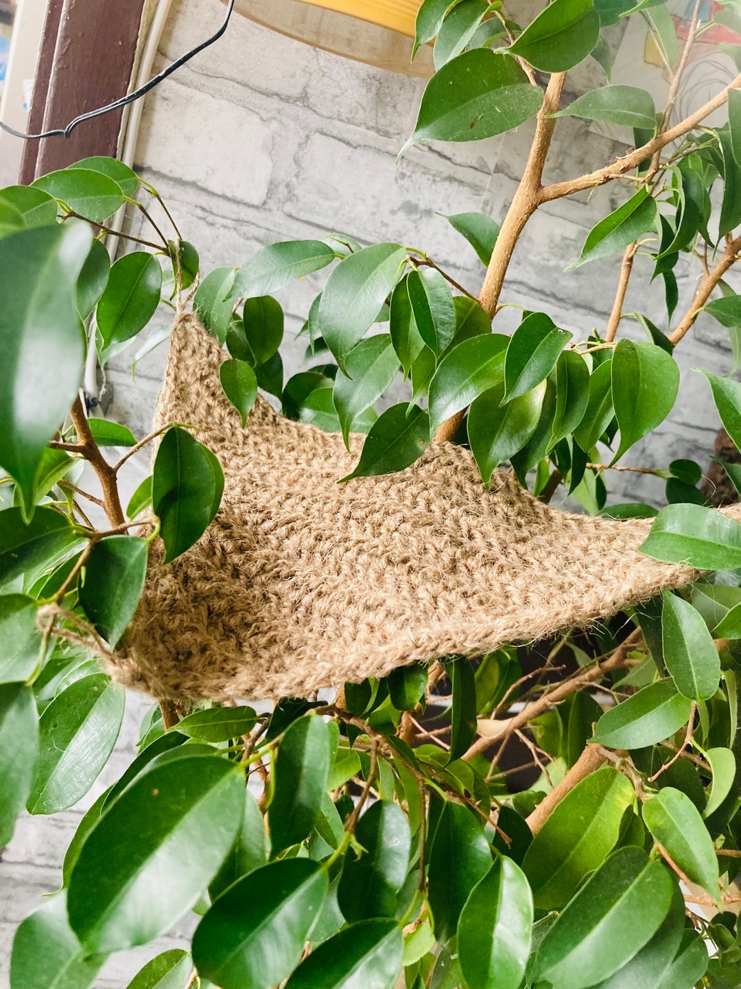 Handmade Jute Reptile Basking Hammock, Hanging Bridge, Natural Reptile ...