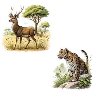 Animals Safari Watercolor Clip Art | 20 PNG Wildlife Animal ...