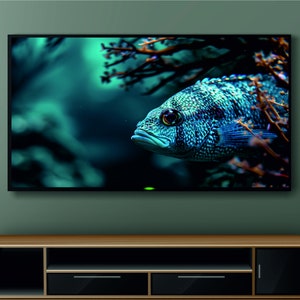 Sea Fish on a Samsung TV. Frame TV Art Digital Download. A Portrait of ...