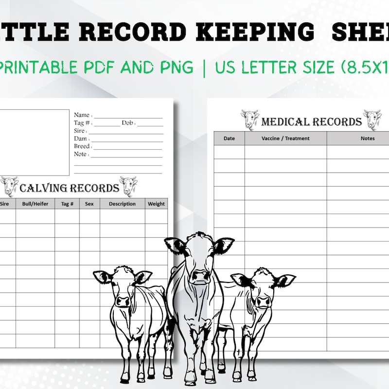 Cow Record Sheet - Etsy