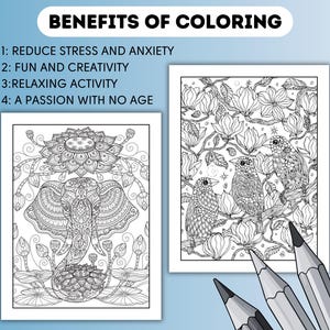 105 Relaxing Pattern Coloring Pages, Stress Relieving Designs ...