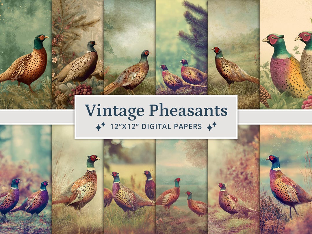 25 Vintage Pheasants Digital Papers, Pheasant, Birds, Card Making ...