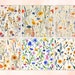 30 Boho Wildflowers Seamless Digital Papers, Wildflower Seamless ...