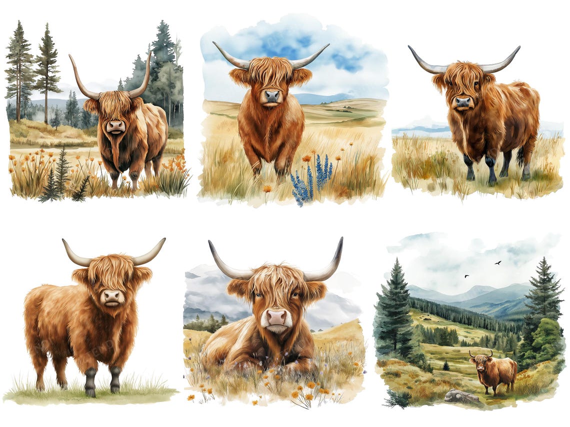 18 Watercolor Highland Cow Clipart, Printable Clipart, Sublimation ...