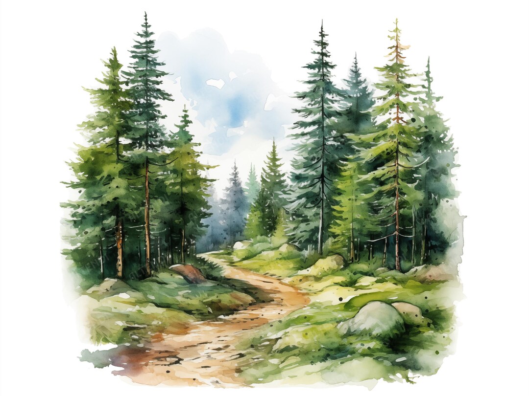 20 Watercolor Pine Forest Clipart, Forest Landscape Clipart, Green ...