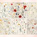 30 Boho Wildflowers Seamless Digital Papers, Wildflower Seamless ...