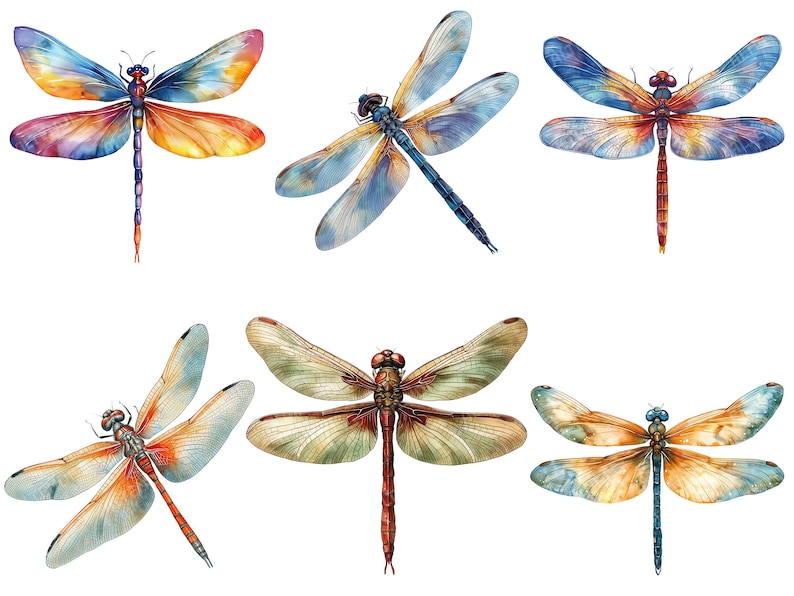 21 Watercolor Dragonfly Clipart, Dragonflies, Insect, Colorful ...