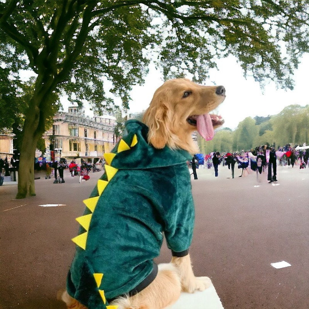 Dinosaur Jacket for Dog, Adorable Pet Jacket, Dinosaur Dog Coat, Jumper ...