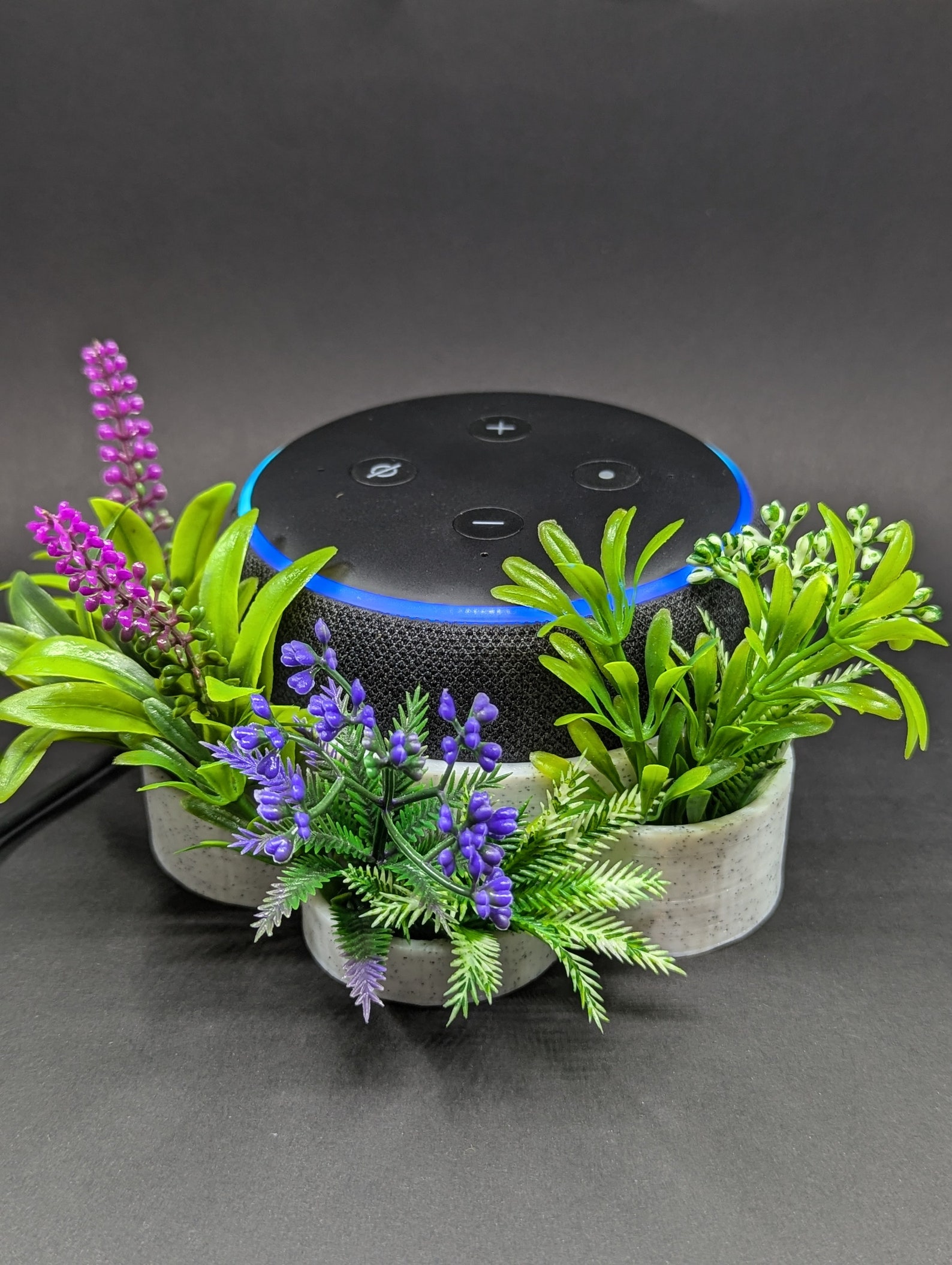 Alexa (gen3) Stand - Etsy