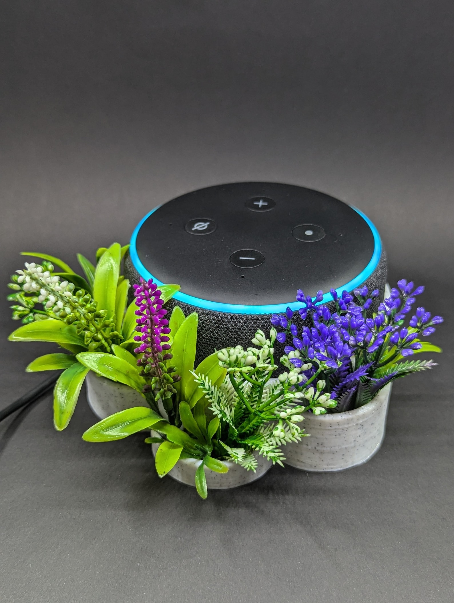 Alexa (gen3) Stand - Etsy