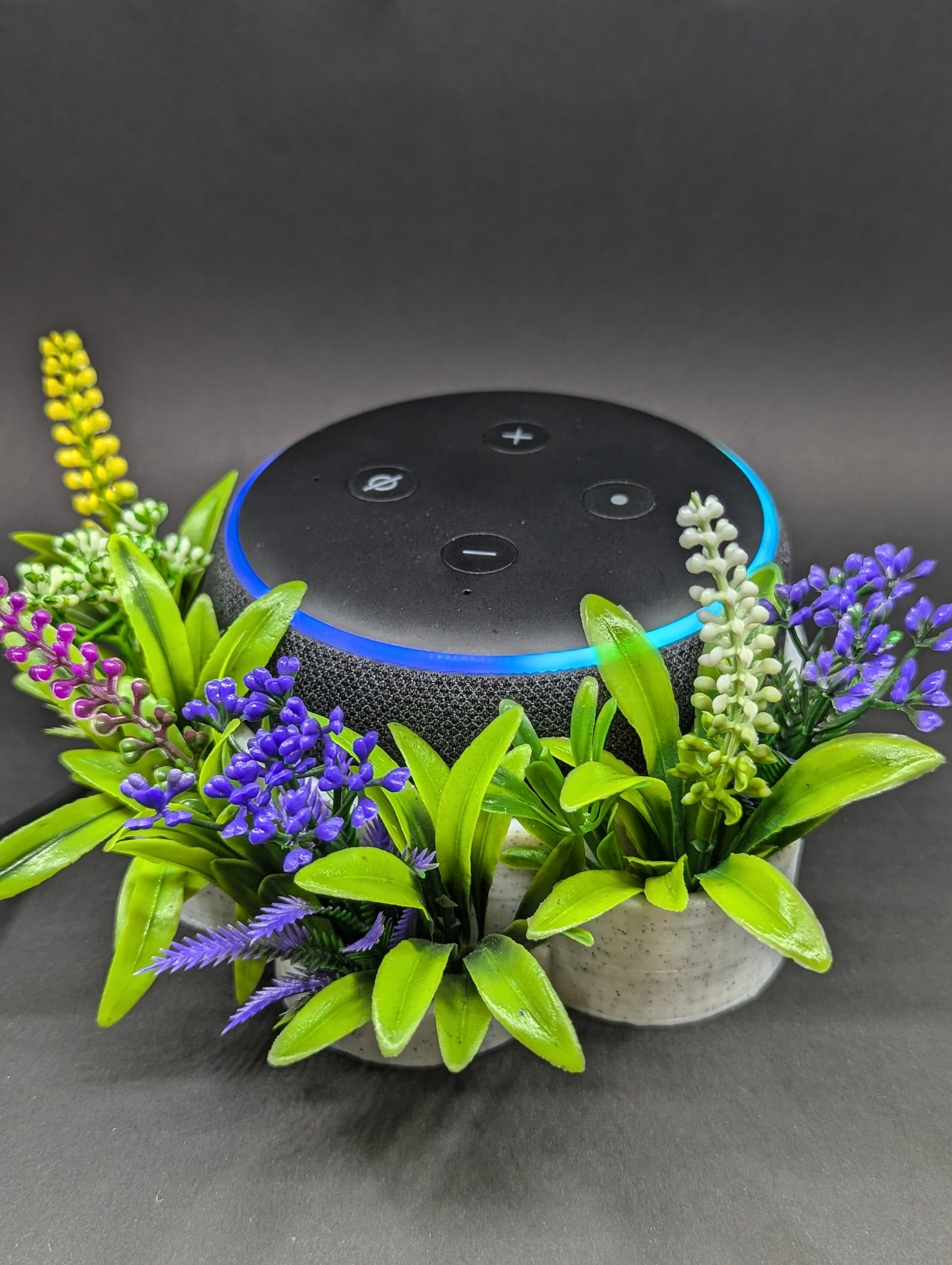 Alexa (gen3) Stand - Etsy