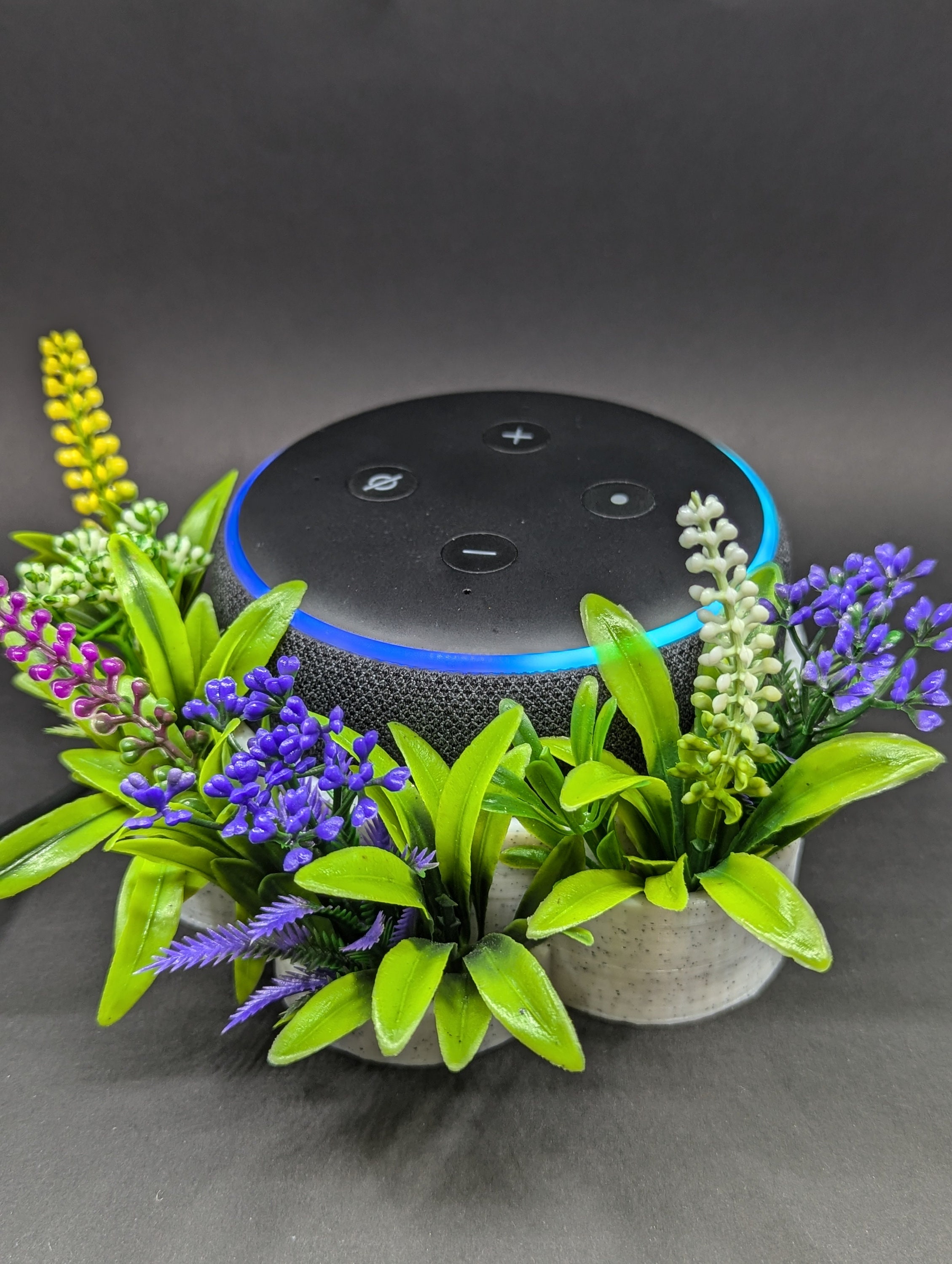 Alexa (gen3) Stand - Etsy