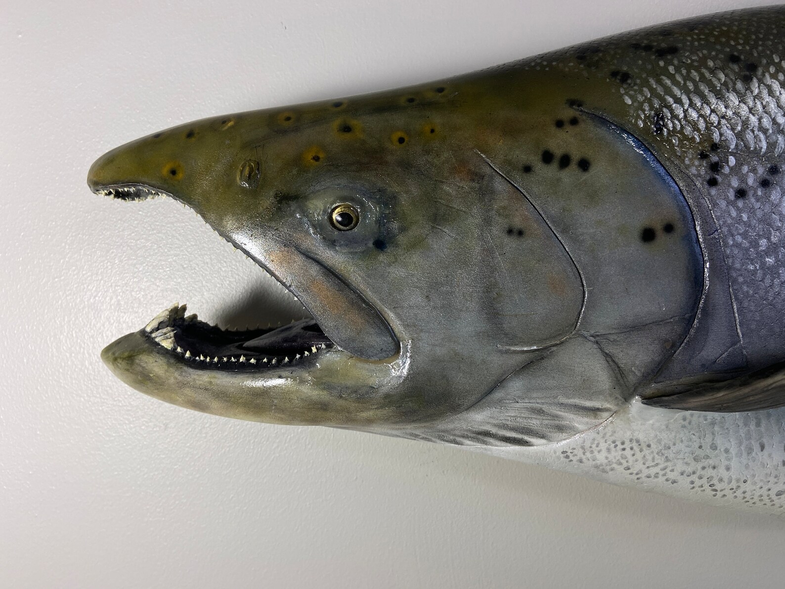 43 King Salmon, Hand Carved Artwork. - Etsy