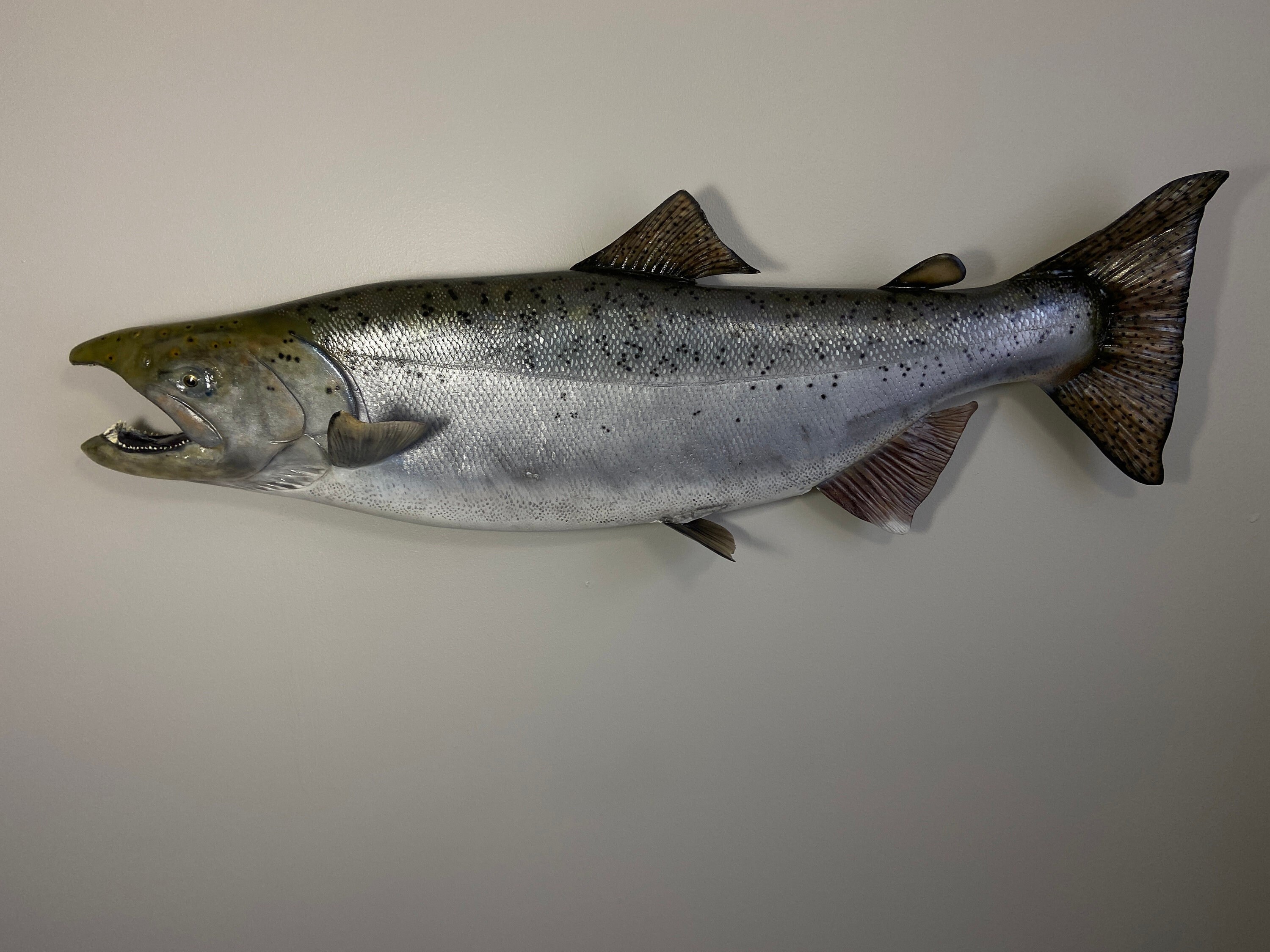 43 King Salmon, Hand Carved Artwork. - Etsy