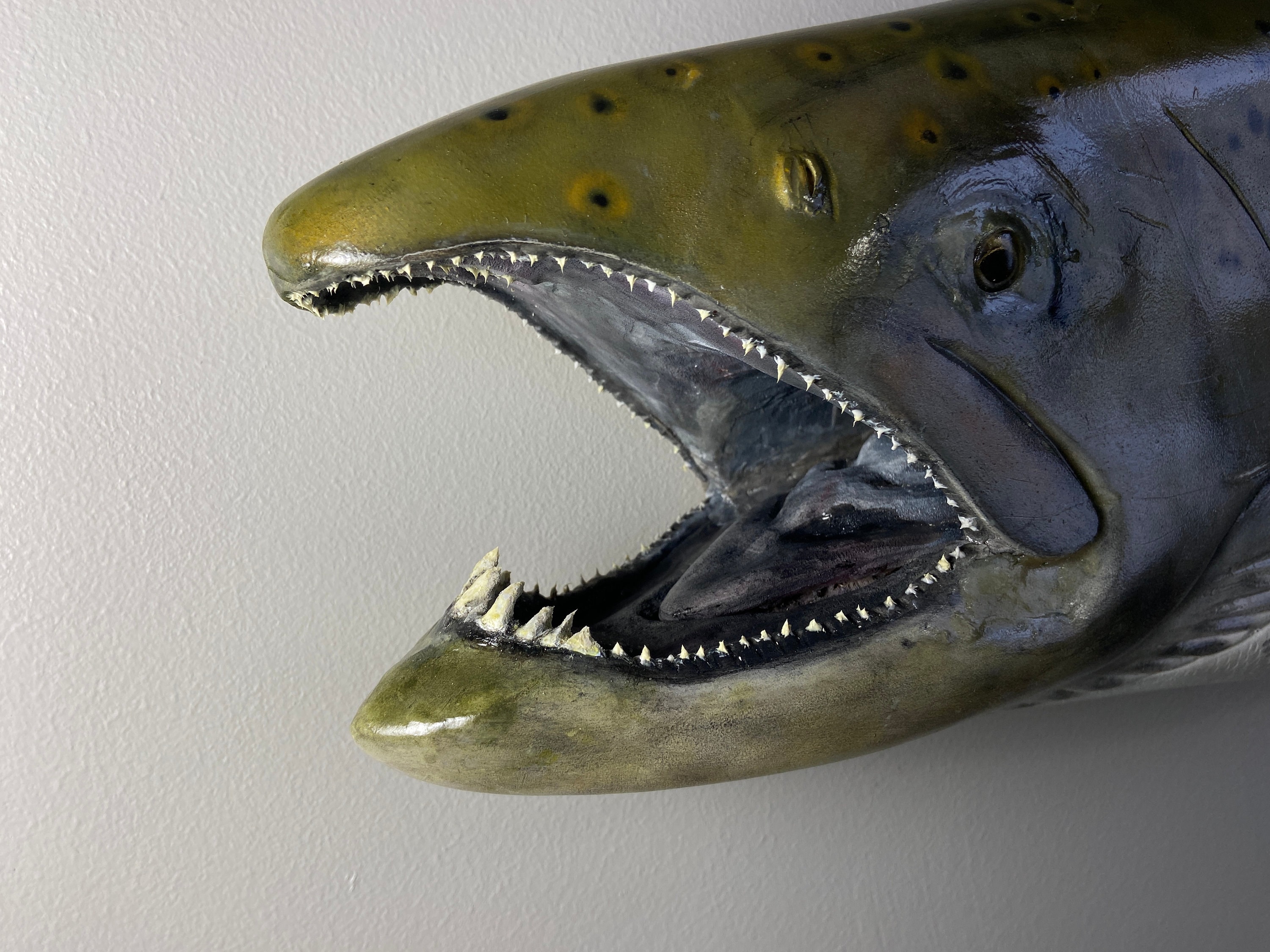 43 King Salmon, Hand Carved Artwork. - Etsy