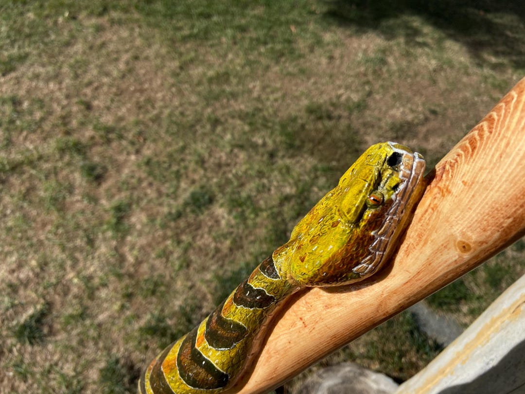 Rattlesnake Walking Stick - Etsy