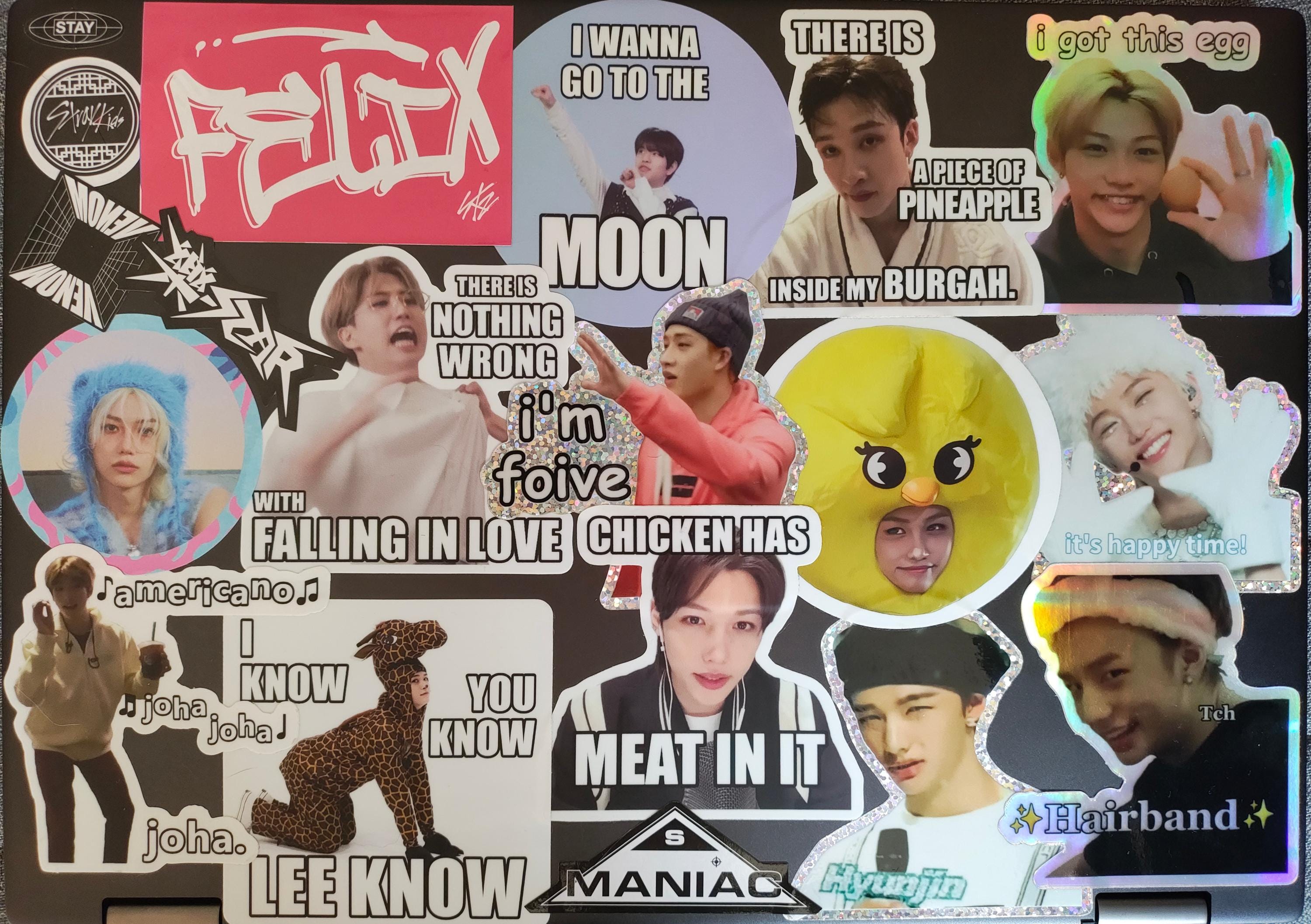 Stray Kids Changbin Meme Stickers - Etsy